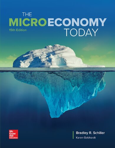Ebook – The micro economy today (PDF Instant Download) – Library Store