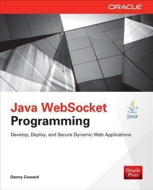 Ebook – Java Websocket Programming (PDF Instant Download) – Library Store