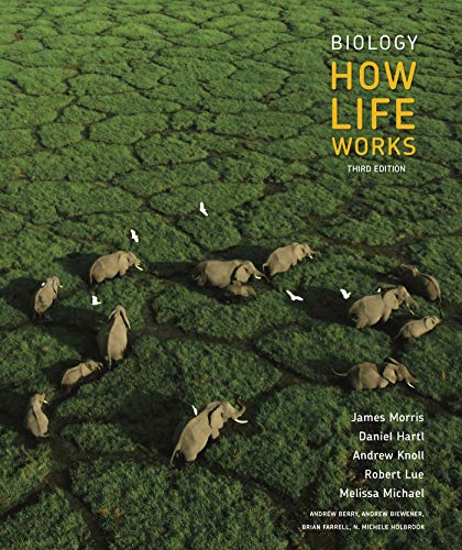 Ebook – Biology How Life Works 3rd Edition by James Morris (PDF Instant Download) – Library Store