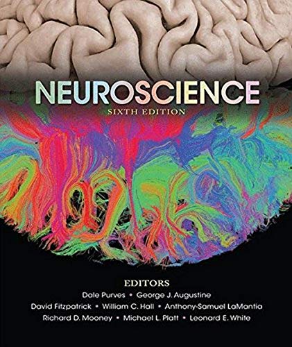 Ebook – Neuroscience (6th Edition) (PDF Instant Download) – Library Store